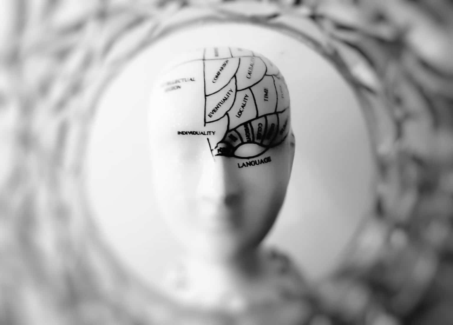 What Are The Branches Of Psychology what-are-the-branches-of-psychology